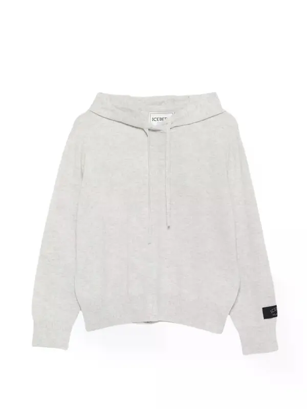 Iceberg Hooded Sweater