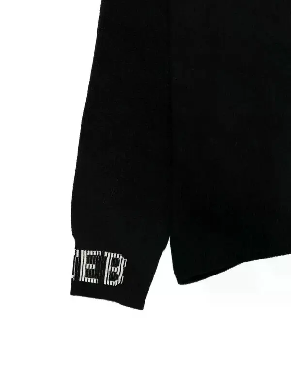 Iceberg Turtleneck Sweater