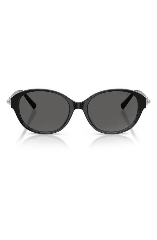 Tiffany & Co. 54mm Round Sunglasses - Black On Tiffany Blue/grey