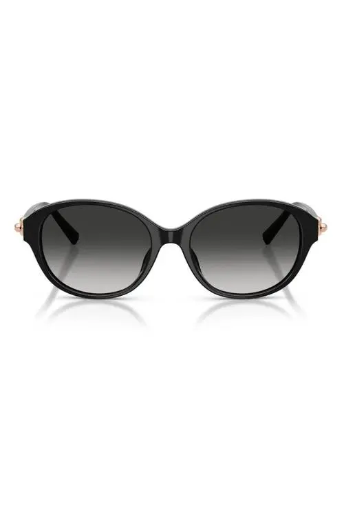Tiffany & Co. 54mm Round Sunglasses - Black/grey Gradient