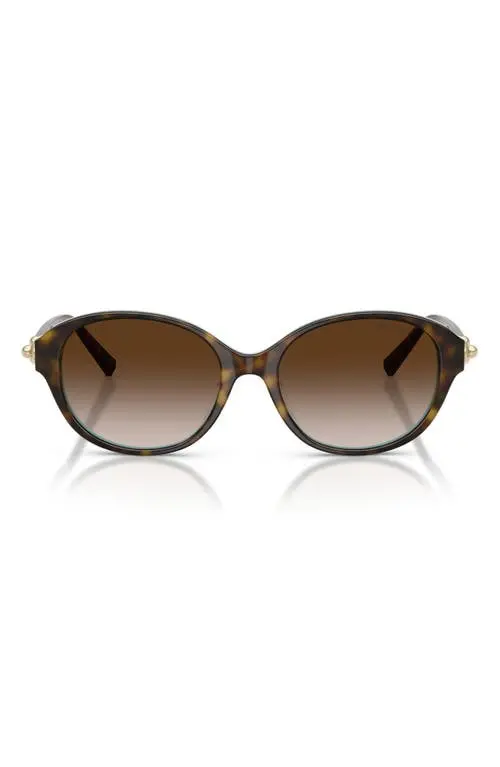 Tiffany & Co. 54mm Round Sunglasses - Havana On Tiffany Blue/brown