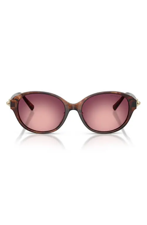 Tiffany & Co. 54mm Round Sunglasses - Spotted Brown Havana/pink