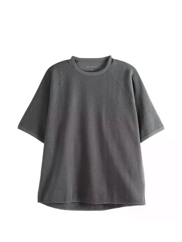 GOLDWIN Wf Light T-shirt - Grey