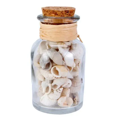 BEACHCOMBERS White Shells Decorative Cork Glass Bottle 3.13