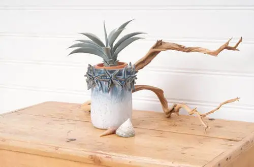 GALLERIE II Chinoiserie Sea Starfish Decorative Novelty Container
