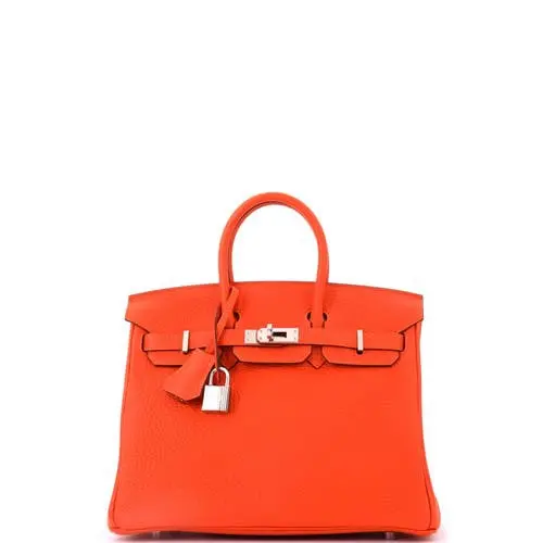 Hermès Birkin 25 Handbag - Feu