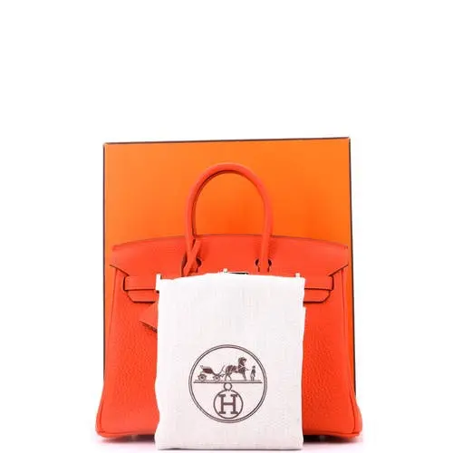 Hermès Birkin 25 Handbag - Feu