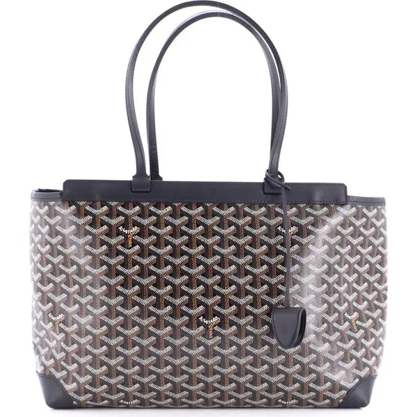 Goyard Bellechasse Bag Coated Canvas Pm - Black