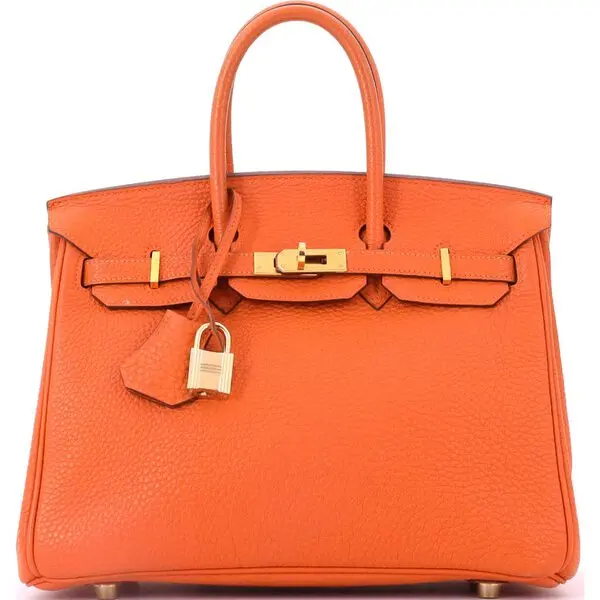 Hermès Birkin 25 Handbag - Orange H