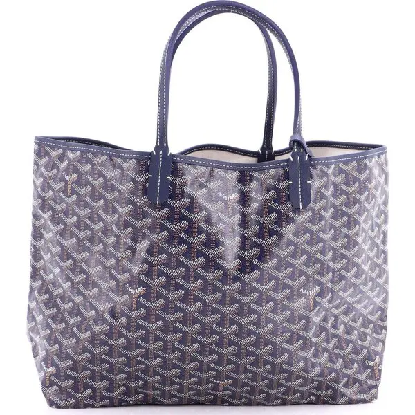 Goyard Saint Louis Pm Tote Coated Canvas