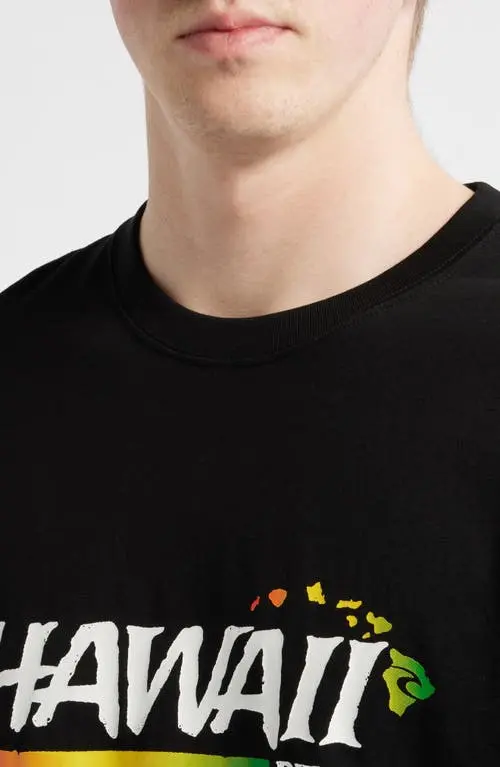 Rip Curl Hawaii Gritty Cotton Graphic T-shirt