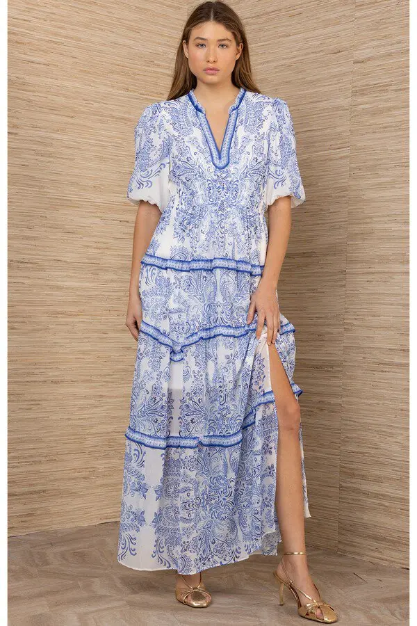 Hale Bob Buttercup Chiffon Maxi Dress - Blue