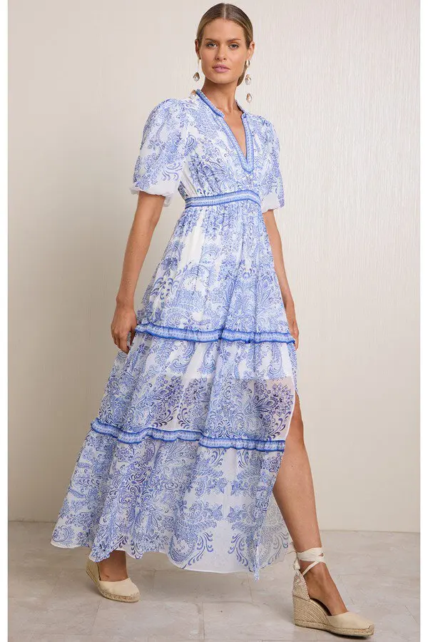 Hale Bob Buttercup Chiffon Maxi Dress - Blue