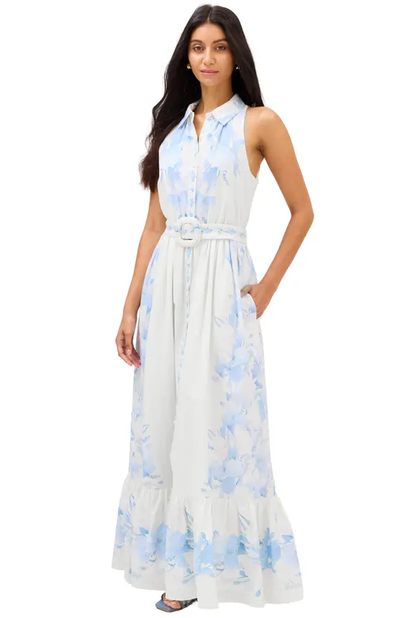 ALLISON NEW YORK Juniper Maxi Dress - Natural