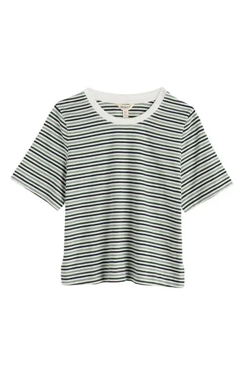 SEASALT CORNWALL Copseland Stripe Organic Cotton T-shirt - Pellitras Treetop