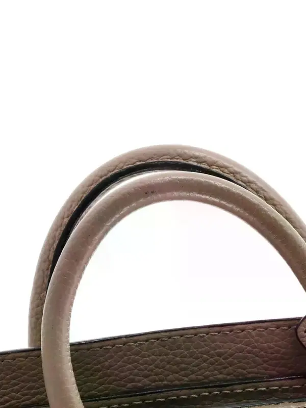 Celine Luggage Bag Grainy Leather Nano Crossbody Bag - Neutrals