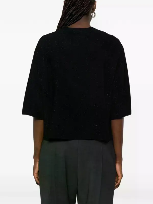 Fabiana Filippi Crew-neck Sweater