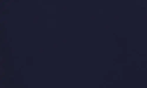 Alex Evenings Pleated One-shoulder Cocktail Dress