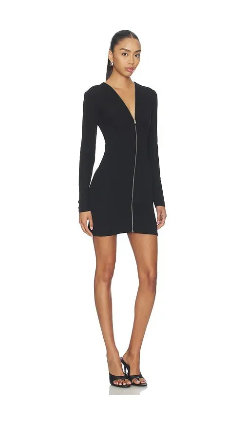 Alexander Wang Continuous Zipper Mini Dress
