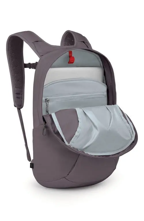 OSPREY Farpoint Fairview Travel Backpack - Graphite Purple