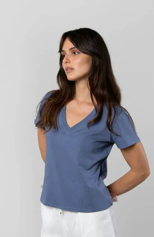 LEISURE LAB Supima Cotton V-neck T-shirt - Sky