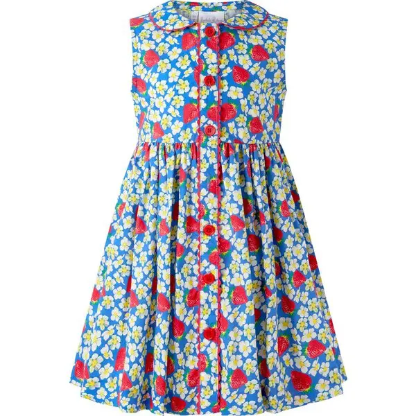RACHEL RILEY Strawberry Button-front Dress - Blue