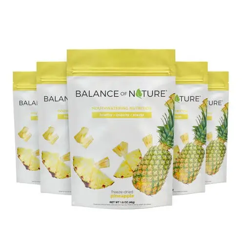 BALANCE OF NATURE Freeze Dried Pineapple Slices Real Fruit Snack Five Pack - None
