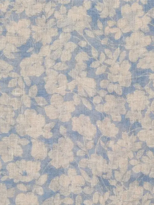 Gerard Darel Dalia Floral Print Scarf
