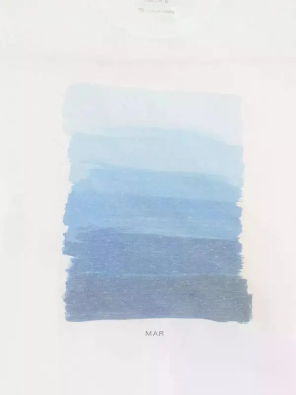 OSKLEN Graphic Print T-shirt