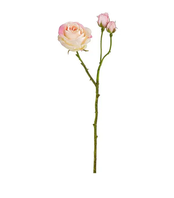 SILK-KA Artificial Rose Flower Bouquet - Orange