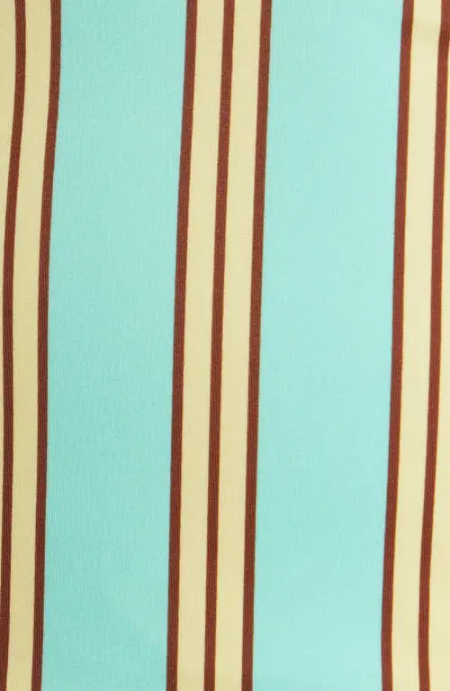 DAMSON MADDER Trudi Stripe Crop Tankini Top