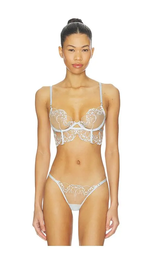 Bluebella Marisa Wired Bra In Baby Blue - Ice Water Blue & Sheer