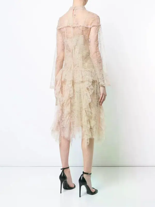 Rochas Lace Sheer Dress