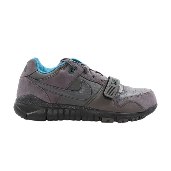 Nike Trainer Dunk Low - Grey