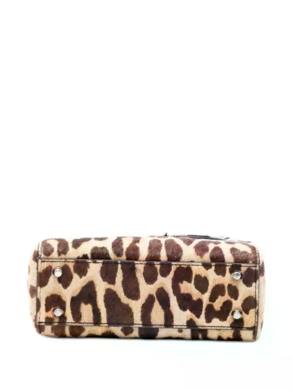 Dior 2014 Mini Leopard Print Lady Satchel - Neutrals