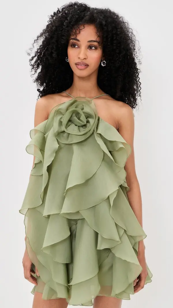 aje. pandorea appliqud ruffled layered chiffon mini dress Appliqud Ruffled Layered Chiffon Mini Dress
