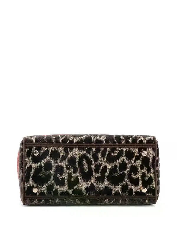 Dior Lady D-lite Mizza Embroidered Velvet Medium Tote - Brown