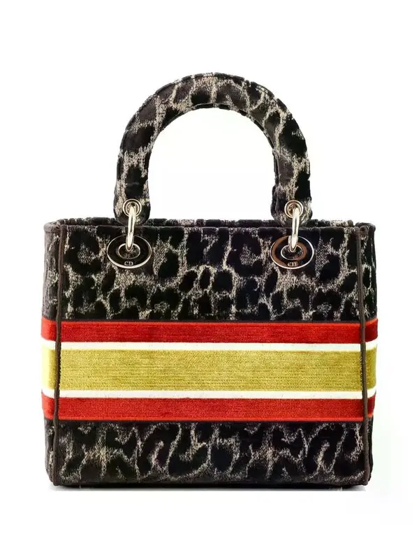 Dior Lady D-lite Mizza Embroidered Velvet Medium Tote - Brown