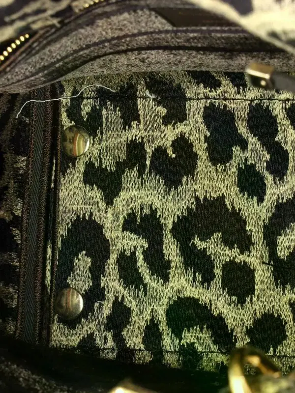 Dior Lady D-lite Mizza Embroidered Velvet Medium Tote - Brown