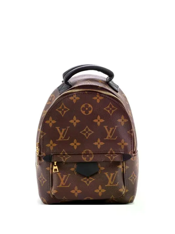 LOUIS VUITTON Palm Springs Monogram Canvas Mini Backpack - Brown