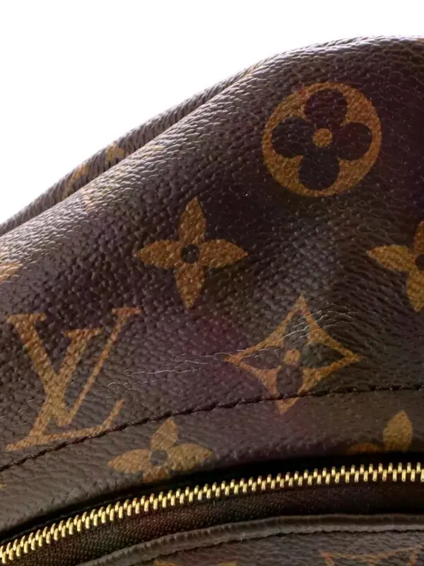 LOUIS VUITTON Palm Springs Monogram Canvas Mini Backpack - Brown