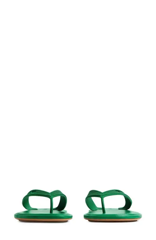 Bottega Veneta Sampieri Flip Flop - Grass Green