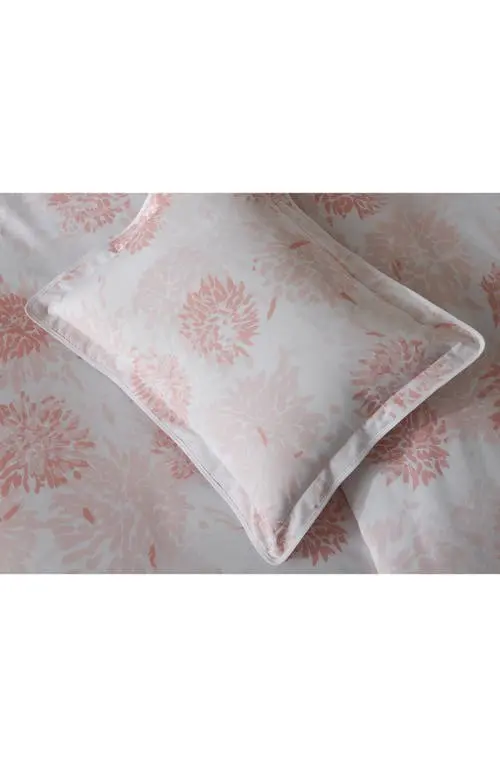 MATOUK Chrysanthemum 500 Thread Count Fitted Sheet - Blush