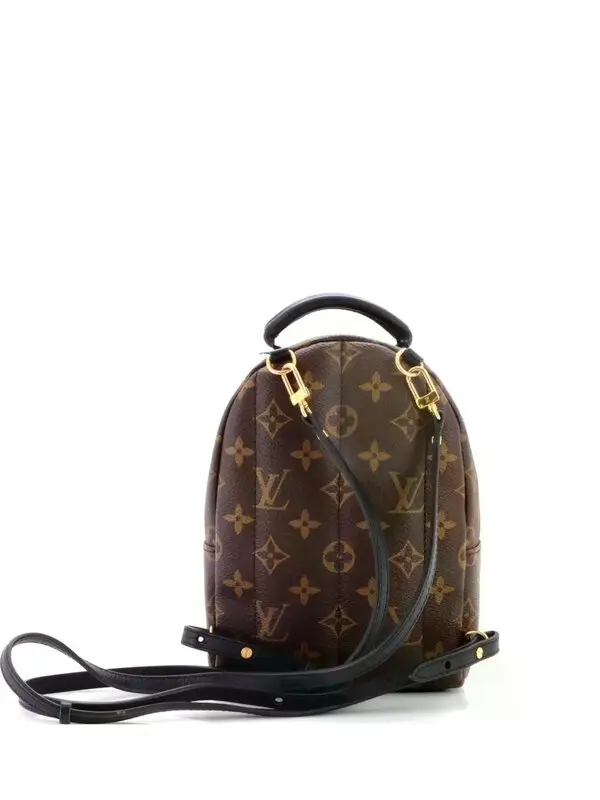 LOUIS VUITTON Palm Springs Mini Backpack Monogram Canvas