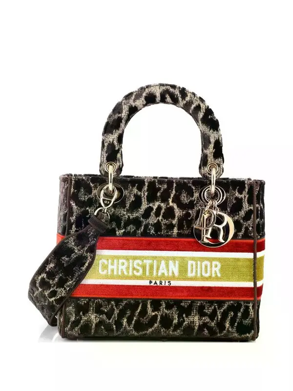 Dior Lady D-lite Mizza Embroidered Velvet Medium Tote Bag - Brown