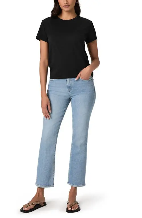 Paige Haven Pima Cotton T-shirt - Black