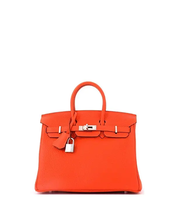 Hermès Birkin 25 Handbag - Feu
