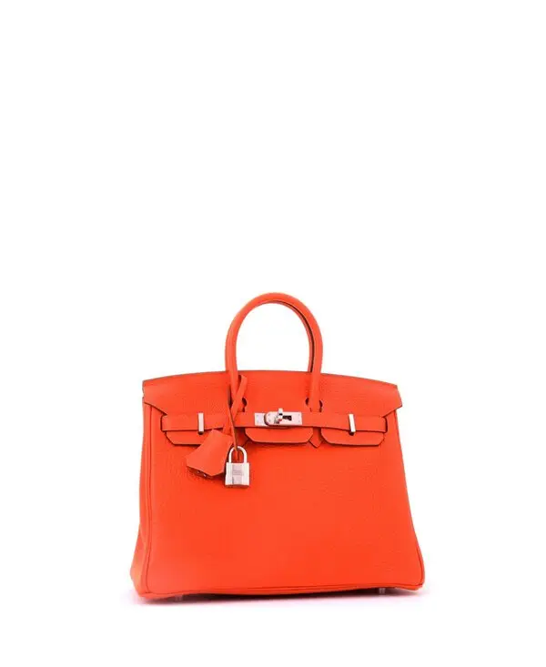 Hermès Birkin 25 Handbag - Feu