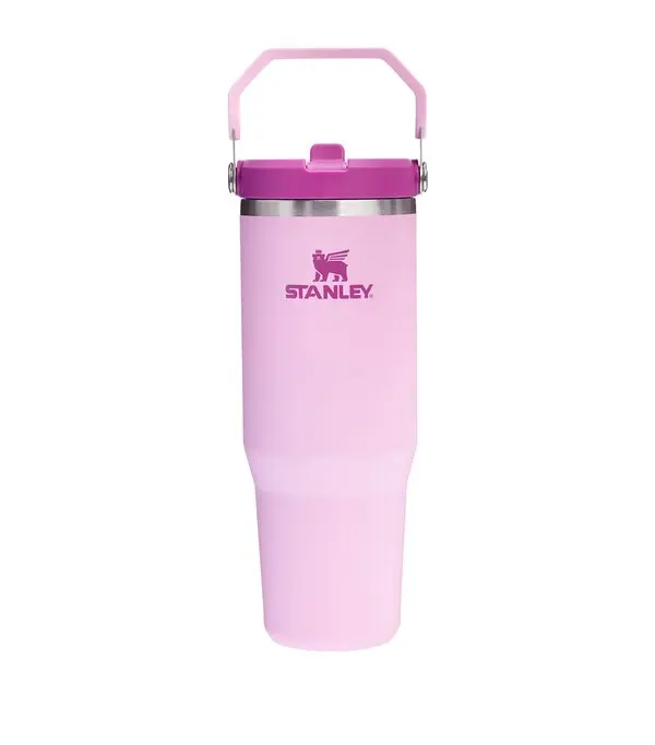 STANLEY Iceflow 2.0 Flip Straw Tumbler