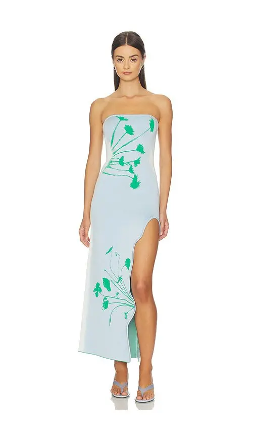 Ph5 Iris Flower Print Maxi Tank Dress In Baby Blue - Aqua Green